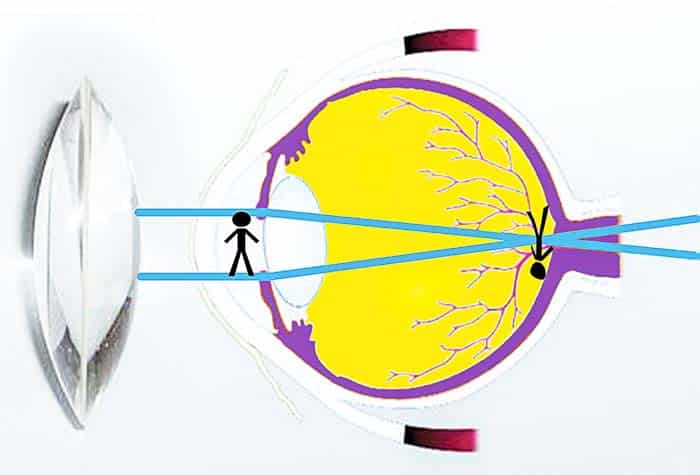 Long-Range Shooting: It’s in the Eyes – Small Arms Defense Journal